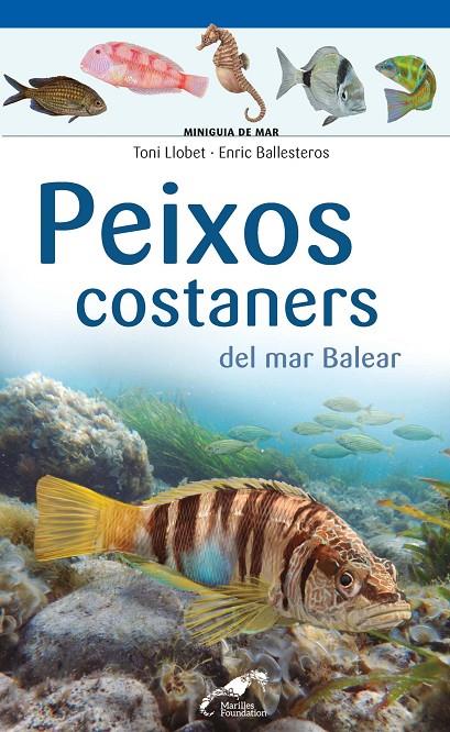 Peixos costaners del mar Balear | 9788490349403 | Llobet François ...